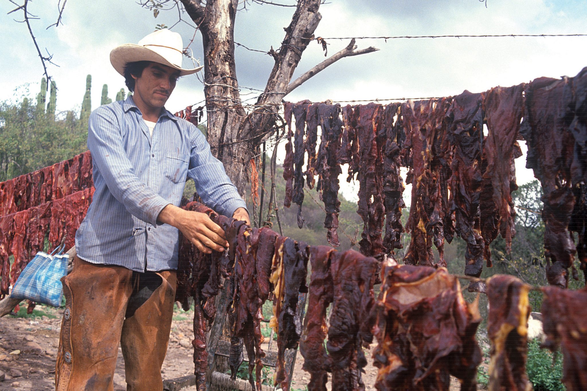 Carne Machaca – El Sabor de Sonora