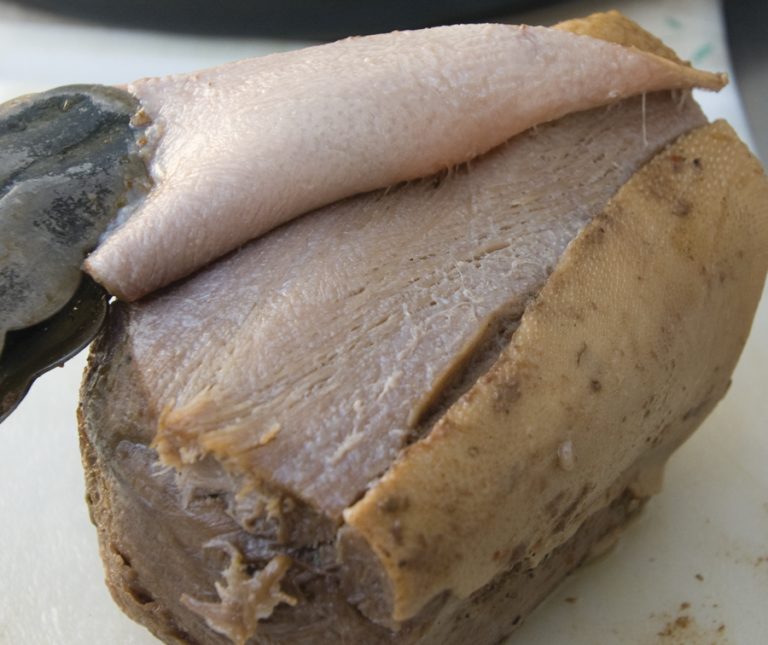 Lengua (o cabeza) de res, en caldo o en tacos. ¡fácil! – El Sabor de Sonora